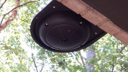 MOBOTIX Q25 6MP HEMISPHERICAL 360° DOME CAMERA WITH WALL MOUNT, BLACK ...